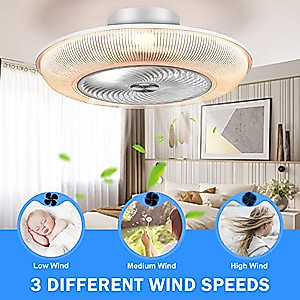 AnEgoe Ceiling Fan with Lights Remote Control, 23'' Large Modern Ceiling Fan 360° Angle Airflow Flush Mount Ceiling Fan with Lights Low Profile Fan for Bedroom Living Room Kitchen