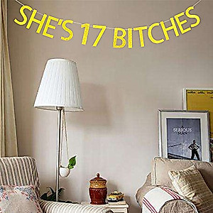 She's 17 bitches banner for 17th birthday party decorations funny hanging gold banner Risehy