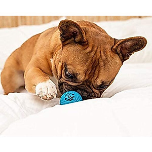 Pet Qwerks Talking Babble Ball - Interactive Chew Dog Toy - Large