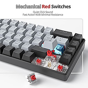 Mosptnspg Protable 60% Percent Gaming Keyboard Mechanical, Mini Compact RGB Backlit 68 Keys Wired Office Keyboard with red Switch for Mac/Win/PC/ps4/ps5/xbox(Dolch/red Switch 68)
