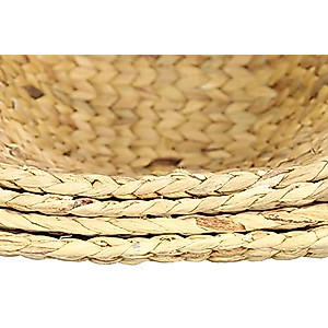 CosmoLiving by Cosmopolitan Seagrass Handmade Two Toned Storage Basket with Handles, Set of 4 17", 15", 13", 12"W, Brown