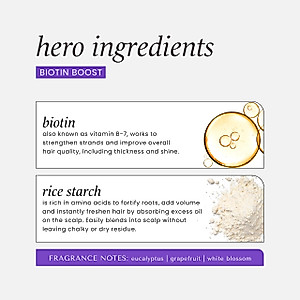 HASK Dry Shampoo Sampler Set: 2 each Biotin Dry Shampoos and Charcoal 4.3oz Dry Shampoos