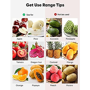 Greatly Quicken Slicing Apple Cutter Slicer, HEAVY DUTY Apple Corer Divider 8-Blade Stainless Steel TREBLEWIND