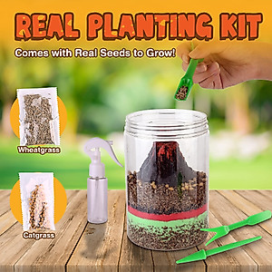 Motiveplay Light Up Dinosaur Terrarium Kit for Kids - Kids Toys, Best Kids Birthday Gift with Dinosaur Toys, Arts & Crafts, Night Light Growing Garden for Age 3, 4, 5, 6, 7, 8-12 Year Old