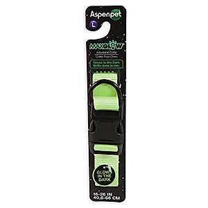 Petmate Glow-in Dark Adjustable Collar, 1" x 16-26", Light Green