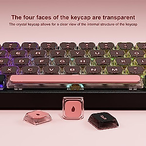 dagaladoo XVX 125 Keys Low Profile Sakura Pudding keycaps，Dye Sublimation PBT Keycap,Transparent keycaps,Suitable for most60% 65% 70% 100% Cherry Gateron MX Switches Mechanical Keyboard