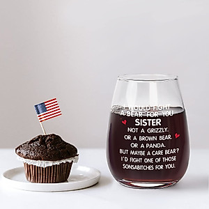 DAZLUTE Funny Sister Gift, I Would Fight A Bear for You Stemless Wine Glass, Sisters Gifts From Sisters, Birthday Christmas Galentines day Gifts for Sister Soul Sister Sister in Law Big Sister, 15Oz