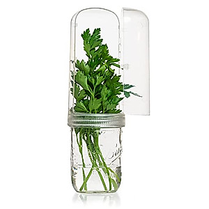 The Herb Angel Mason Jar Herb Lid - Fresh Herb Keeper - Herb Saver Pod for Cilantro, Parsley, Basil, Chives, Mint and More - Herb Storage Container for Refrigerator