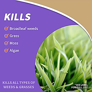 Bonide Captain Jack's Deadweed Brew, 128 oz Ready-to-Use, Controls All Types of Weeds and Grasses, For Organic Gardening