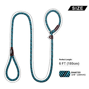 Fida Durable Slip Lead Dog Leash, 6 FT x 3/8" Heavy Duty Dog Loop Leash, Comfortable Strong Rope Slip Leash for Small Dogs and Puppies, No Pull Pet Training Leash with Highly Reflective(3/8", Blue)