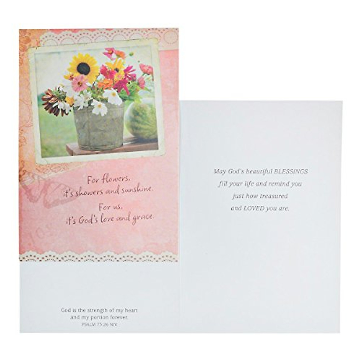 DaySpring All Occasion - Inspirational Boxed Cards - Variety - 18537