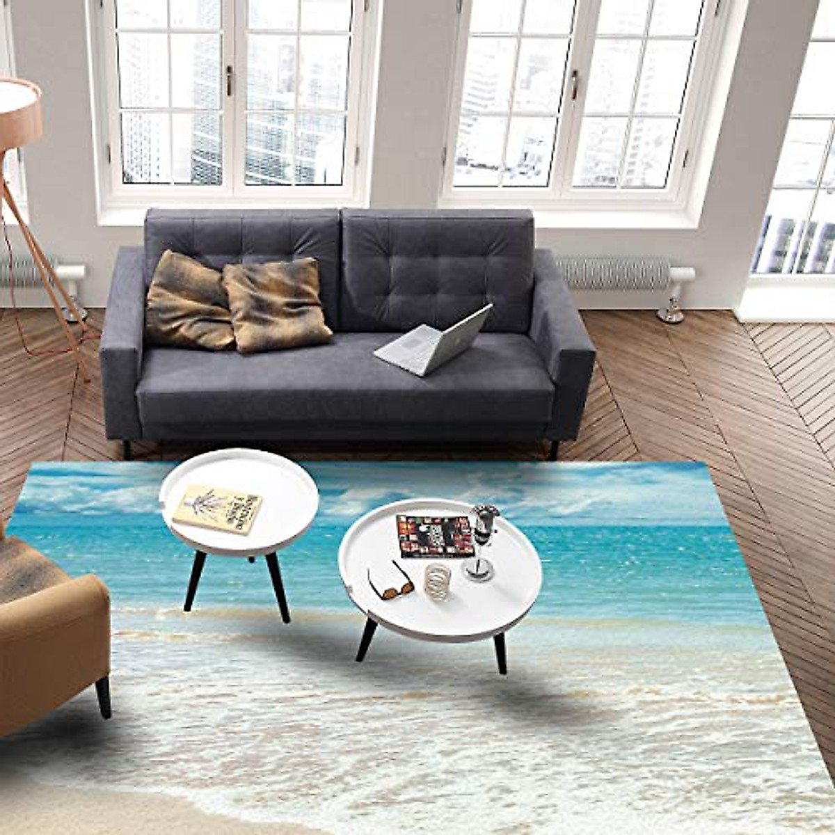 Gsypo Summer Indoor Modern Contemporary Area Rug, Tropical Ocean Beach Sea Water Ultra Soft Non-Shedding Carpet Floor Mats Stain Resistant Living Room Bedroom Area Rugs Washable 2'x3'