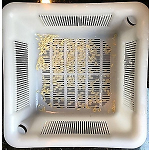 8 1/2" Floor Sink Basket