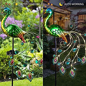 Glintoper Solar Garden Lights, 39 Inch Height Outdoor Metal Peacock Decorative Garden Stakes, Mothers Day Ideal Gifts, Waterproof Path Lights Lawn Stake Ornaments for Patio Pathway Yard Decoration