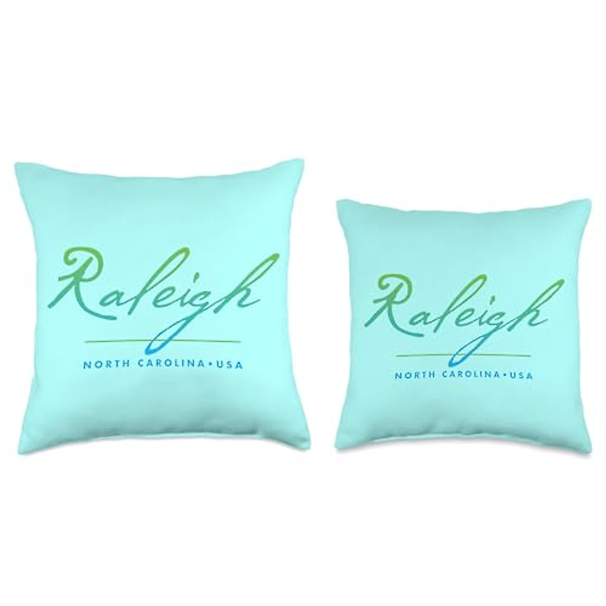 Raleigh NC Gear Raleigh North Carolina Throw Pillow, 18x18, Multicolor