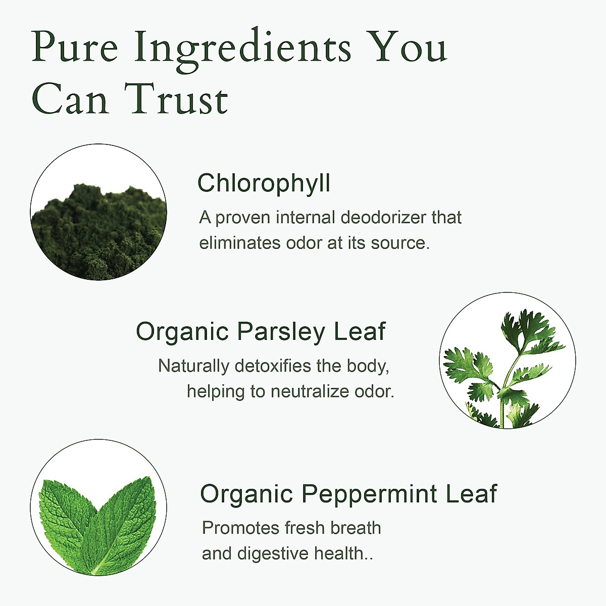 It Just Works Whole Body Natural Deodorizing Supplement for Full Freshness - Vegan & Organic Internal Deodorant for Underarms, Intimate Areas, and Private Parts, 30 Capsules