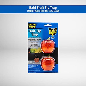 Raid Fruit Fly Trap for Indoors | Effective Fly Killer | Insect Catcher | Fruit Fly Killer & Gnat Traps for House Indoor | Easy to Use & 120 Day Food-Based Lure Fly Catcher (2 Pack)