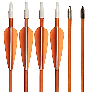 PANDARUS Youth Safetyglass Arrows 28" Fiberglass Archery 26" Target Practice Arrows(Pack of 12) (28 inch Orange)