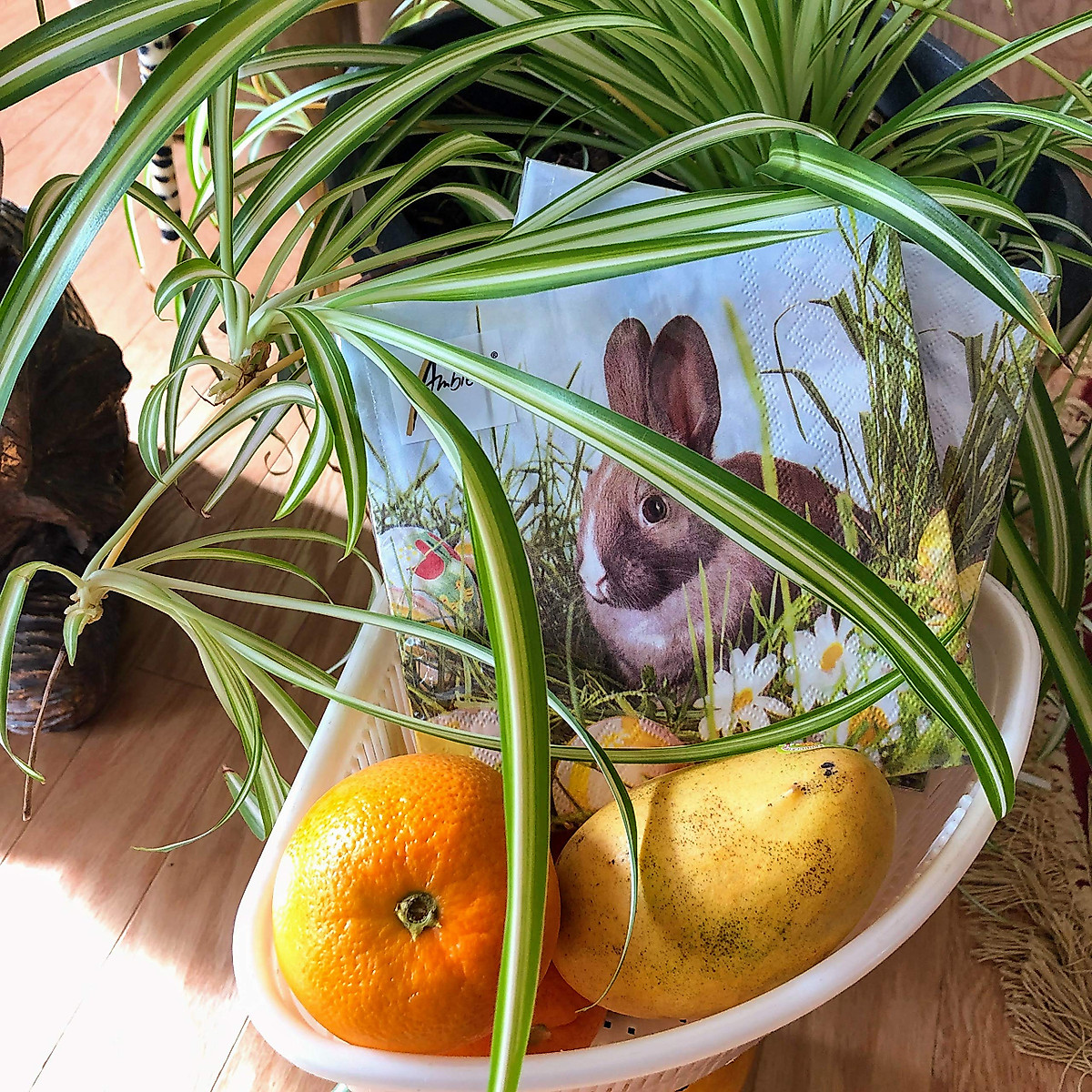 20-ct 13x13 Big Bunny Napkins Easter Napkins Easter Paper Napkins Easter Napkins for Decoupage Easter Napkins Paper Easter Cocktail Napkins Bunny Dinner Lunch Beverage Guest Napkins Disposable