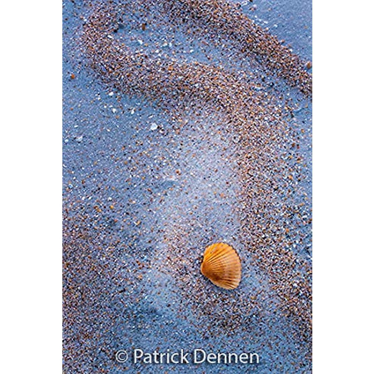 Sierra Club Engagement Calendar 2021