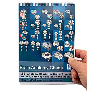 Brain Flip Charts