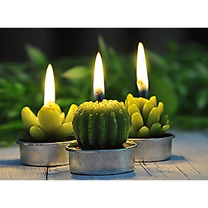 LA BELLEFÉE Tea lights Candles Gift Set, Cactus Terrarium Candle Delicate Succulent Handmade Cute Small Candles for Home Plant Gifts, Party Wedding Mothers Day Valentines Day Gifts Decoration(6 Packs)