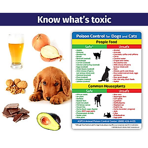 Foods and Plants Toxic to Cats and Dogs Fridge Magnets (5 Pack) - Pet Poison Control - by Safety Magnets - 5 x 7 inches