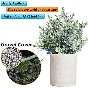 ANFU Fake Plant Decor Mini Artificial Potted Faux Plants, Artificial Eucalyptus Faux Boxwood Fake Rosemary for Room Bathroom Kitchen Farmhouse Garden Home Office Decor (3, Flocking Artificial Plants)