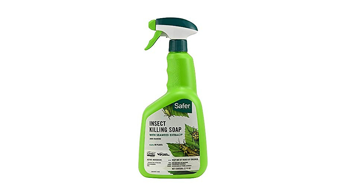 Safer Brand Insect Killing Soap - 32 oz. 2 Pack