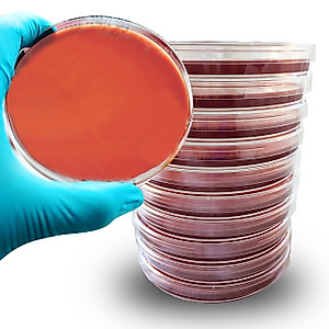 MacConkey Agar Plates - Evviva Sciences - 10 Prepoured MacConkey Agar Petri Dishes - Great for Science Fair Projects