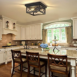 Asnxcju Farmhouse Light Fixtures Ceiling Mount, 2-Light Black Flush Mount Ceiling Light with Clear Glass Shade, Metal Cage Square Close to Ceiling Lamp for Bathroom Kitchen Porch (Bulbs Not Included)