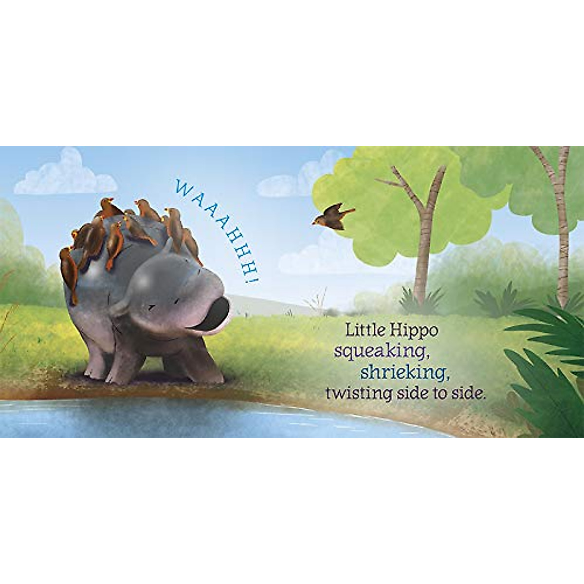 Little Hippo (Little Animal Friends)