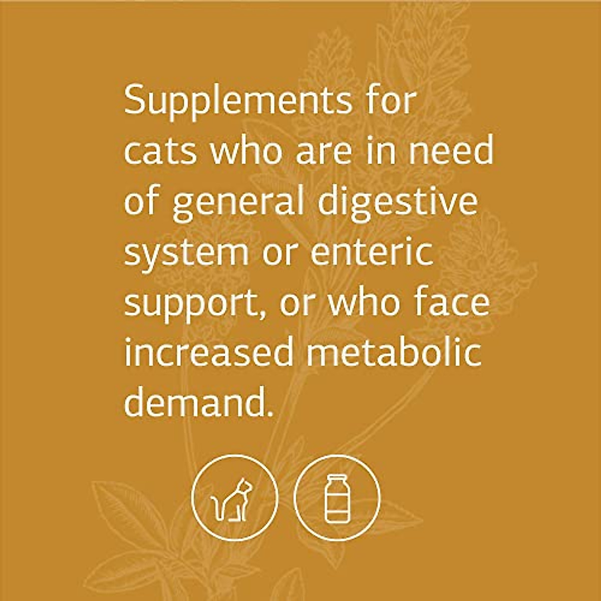 Standard Process - Feline Enteric Support - 90 Tablets