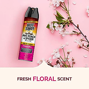 Hot Shot Ant, Roach And Spider Killer 2-17.5 Ounce Aerosol Cans, Fresh Floral Scent, Twin Pack
