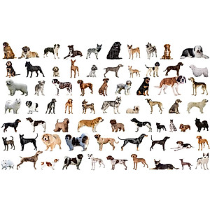 Pet Resolve Remote Dog Training Collar