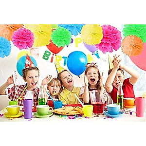 Tissue Paper Pom Poms Paper Flowers for Wedding, Birthday Celebration Party Decorations and Outdoor Decor 15 Pcs of 8,10,14 Inch (Rainbow)