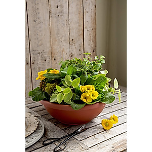 The HC Companies 20 Inch Large Garden Bowl Planter - Shallow Plant Pot with Drainage Plug for Indoor Outdoor Flowers, Herbs, Warm Gray