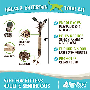 Raw Paws Silvervine Stick Toys, 3 ct - Interactive Cat Toys with Feathers, Cat Kicker Toy, Catnip Toys for Cats, Cat Feather Stick Silvervine for Cats, Matatabi Sticks Cat Feather Toys for Indoor Cats
