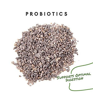 Manna Pro Chick Grit | Digestive Supplement for Young Poultry and Bantam Breed | Probiotics to Support Digestion | No Artificial Ingredients or Preservatives | Insoluble Crushed Granite | 5 Pounds