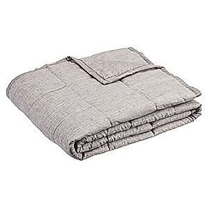 Amazon Basics Weighted Blanket with Minky Duvet Cover - 12 Pound, 48 x 72-Inch, Dark Grey/Grey
