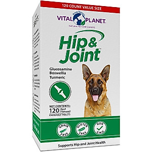 Vital Planet - Natural Hip and Joint Supplement for Dogs - Potent Herbal Blend with Green Lipped Mussel, MSM and Glucosamine (120 Chewable Tabs)