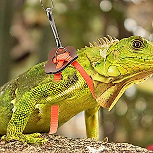 Adjustable Reptile Lizard Harness Leash: Turtle Lizard Traction Belt Bearded Dragon Accessories Crested Gecko Guinea Pig Harness Rope