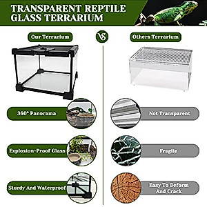 Hamiledyi Mini Reptile Glass Terrarium Tank,8"x8"x6" Hermit Crab Breeding Box Transparent Jumping Spider Enclosure Small Amphibians Habitat Cage for Baby Snake Gecko Lizard Tarantula