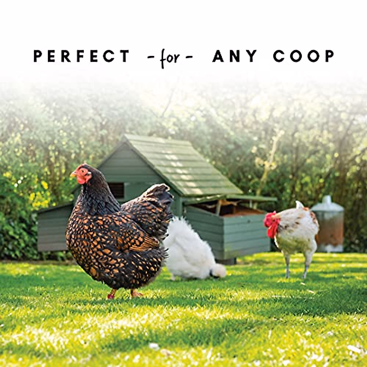 Harris Farms Free Range Hanging Poultry Feeder | Twist Lock Base | 10 Pound,White