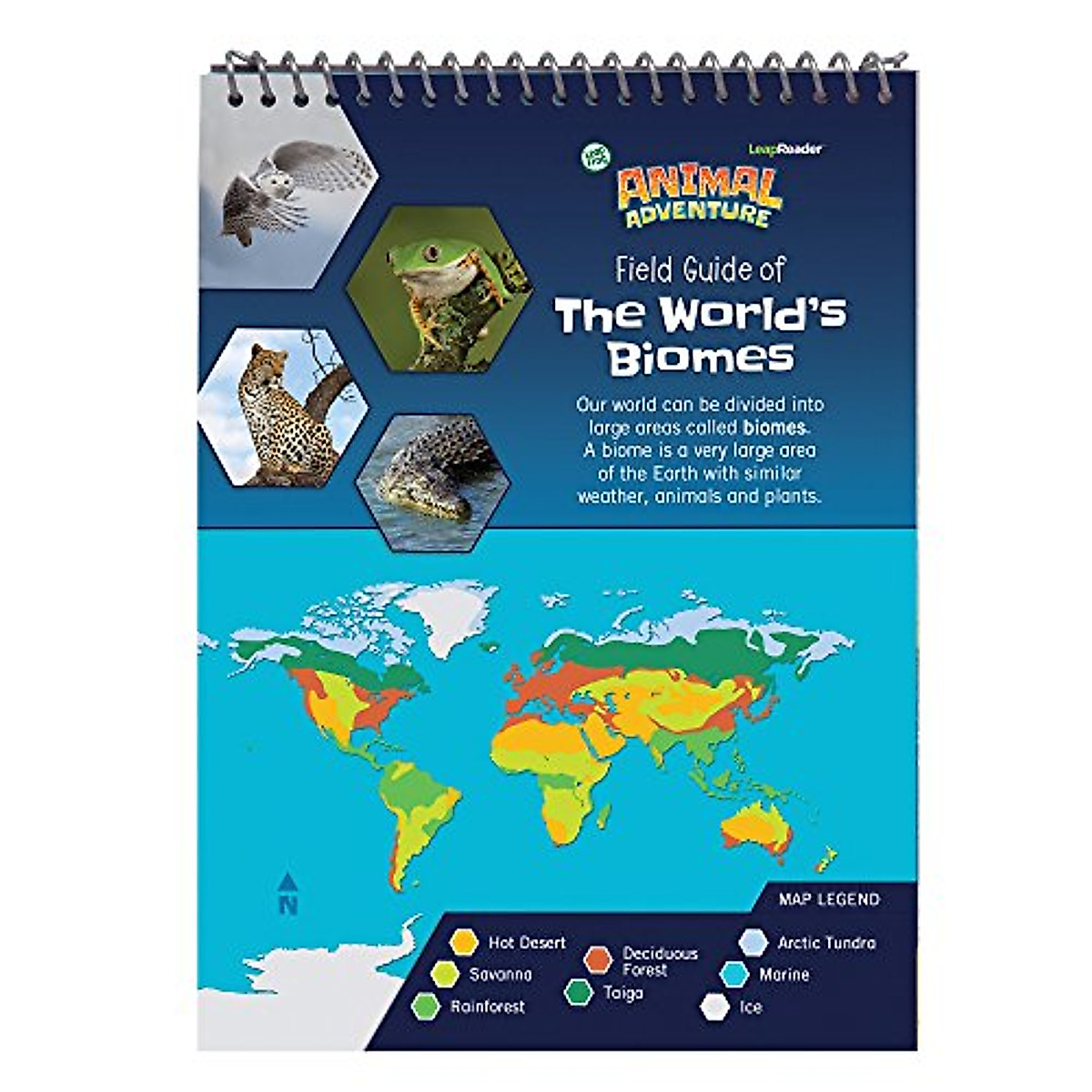 LeapFrog LeapFrog LeapReader Animal Adventure Interactive Board Game