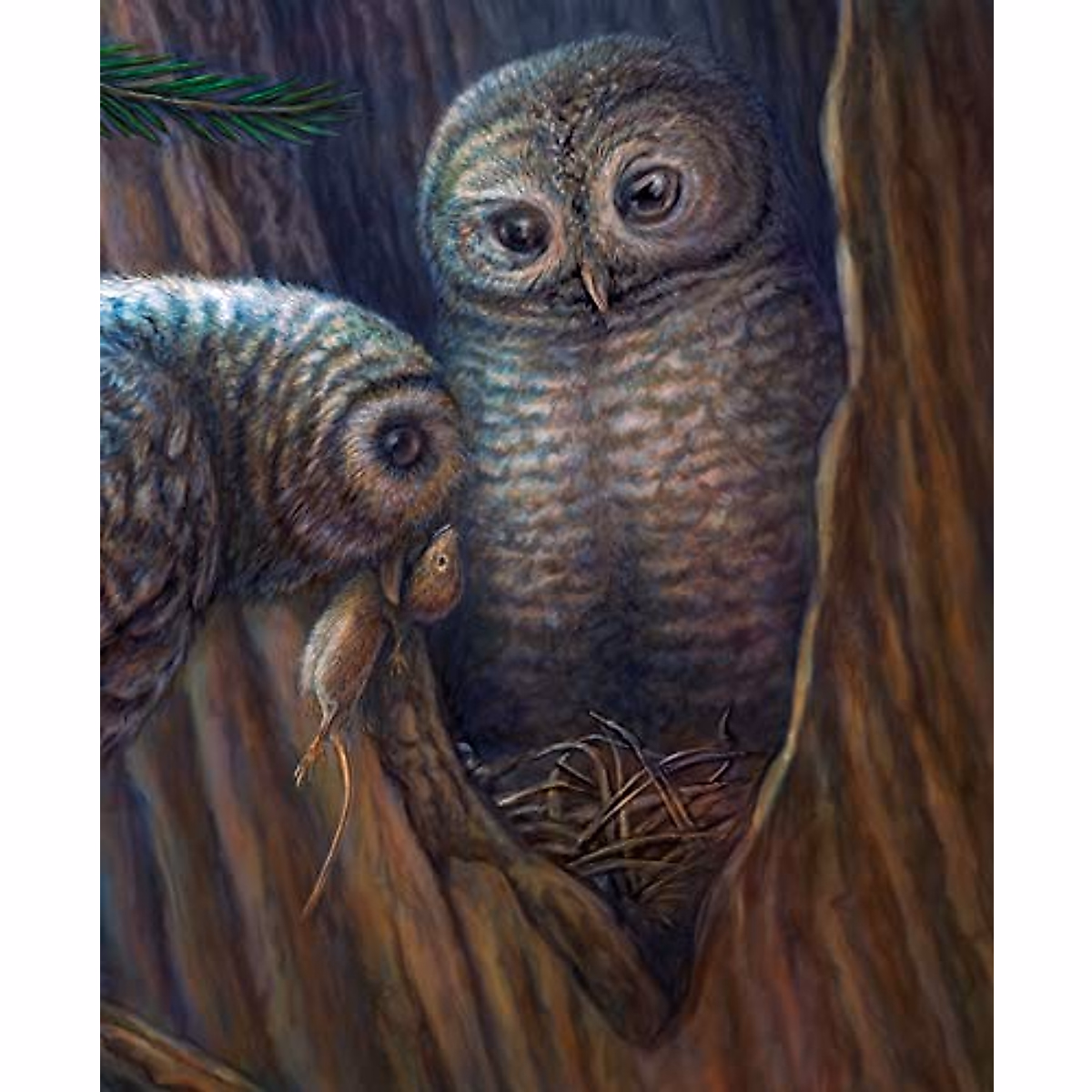 Tall Tall Tree: A Nature Book for Kids About Forest Habitats (A Rhyming Counting Book with STEAM Activities)