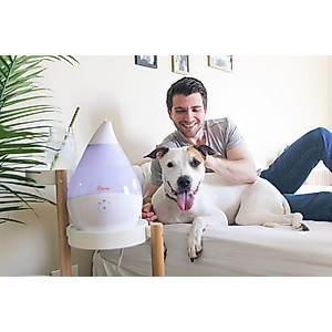 Crane Droplet Ultrasonic Small Air Humidifiers for Bedroom and Office, 0.5 Gallon Cool Mist Humidifier for Plants and Home, Humidifier Filters Optional, White