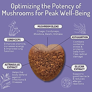 ANP Enhance Your Dog's Health with Mushroom Immune Supplement Boosting Dog Chews - No Animal Protein Formula - Vitality, Longevity, and Gut Health - Potent Reishi, Chaga, and Shiitake Mushrooms
