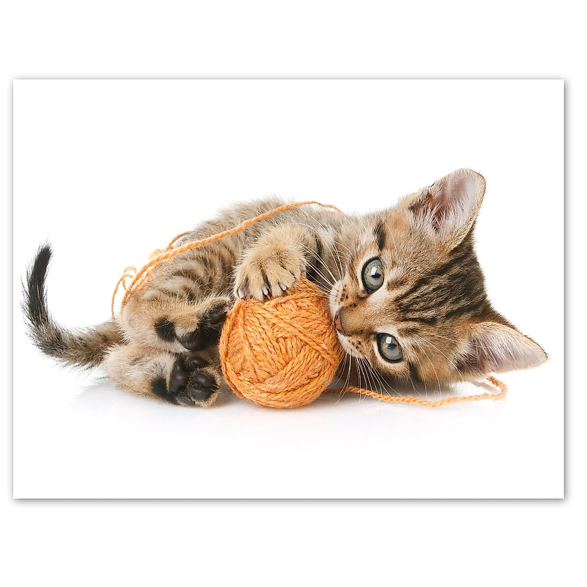 Small World Greetings Playful Kitten Cards 12 Count - Blank Inside with Envelopes - A2 Size (5.5”x4.25”) - Cat Stationery - All Occasion, Thank You, Birthday, and More