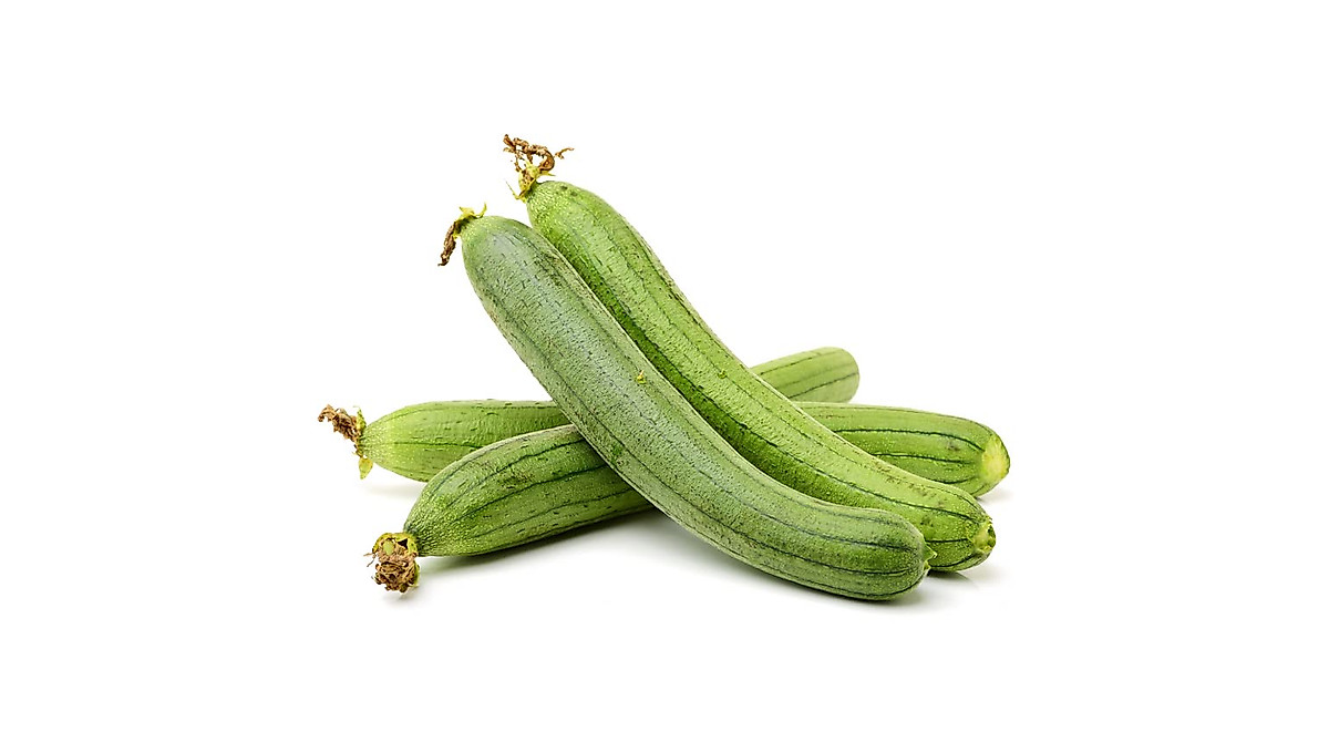 Buy Super Long Luffa Seeds for Your Garden